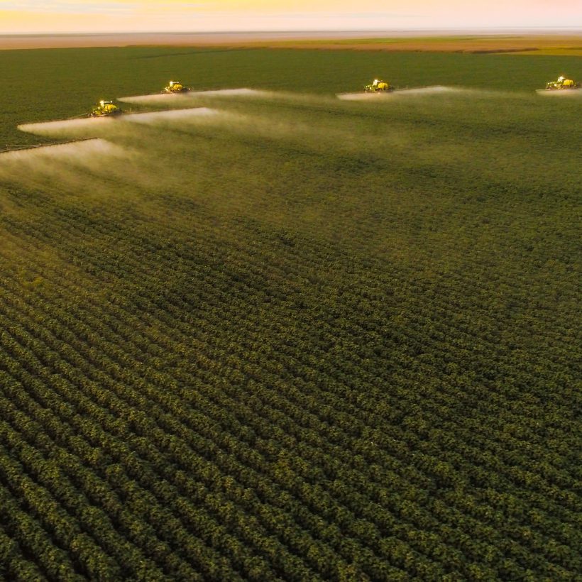 Products Archives - Rexil-Agro